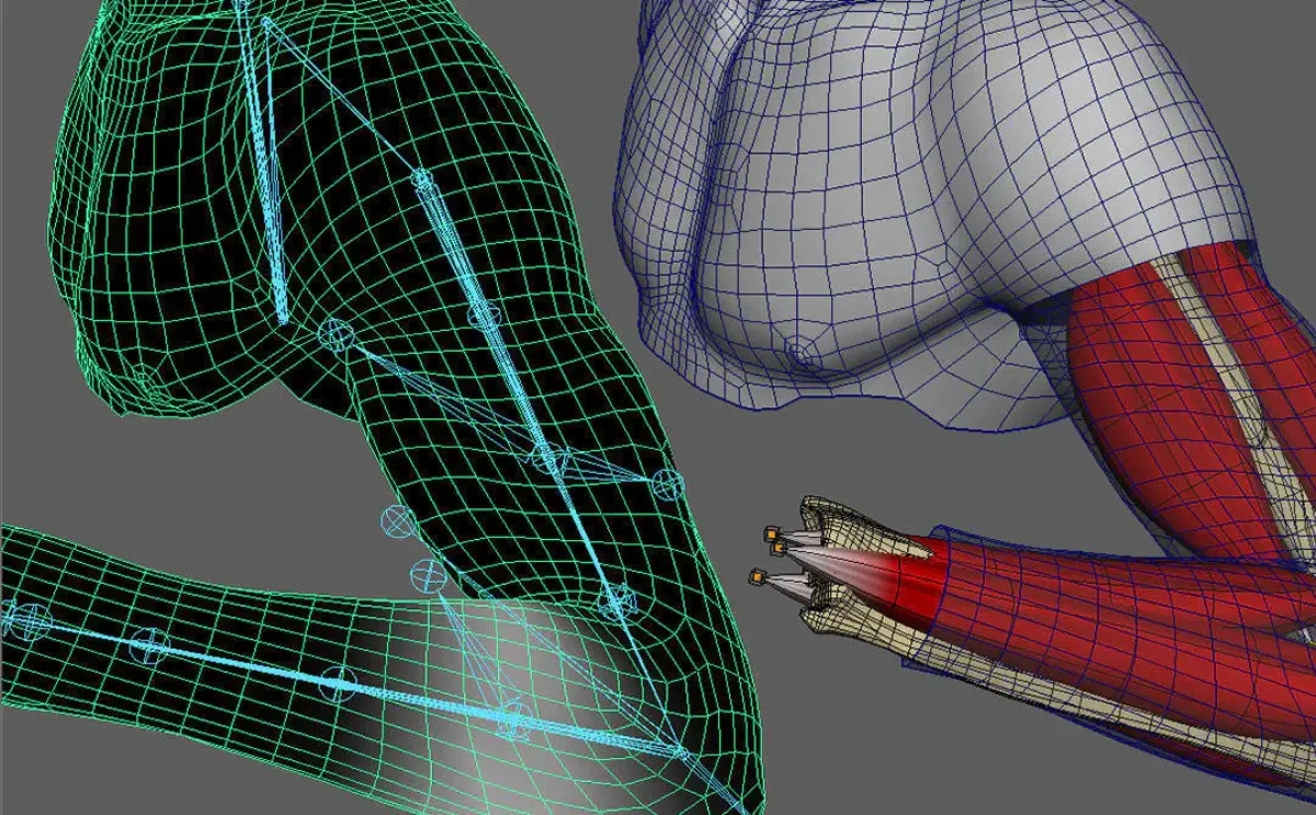 スキニング技術とは？3Dキャラクターの自然な動きを実現する仕組みを解説 | MetaStep